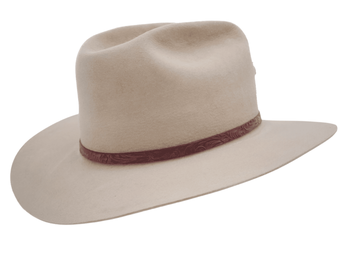 "Raylan" - Wild Hats
