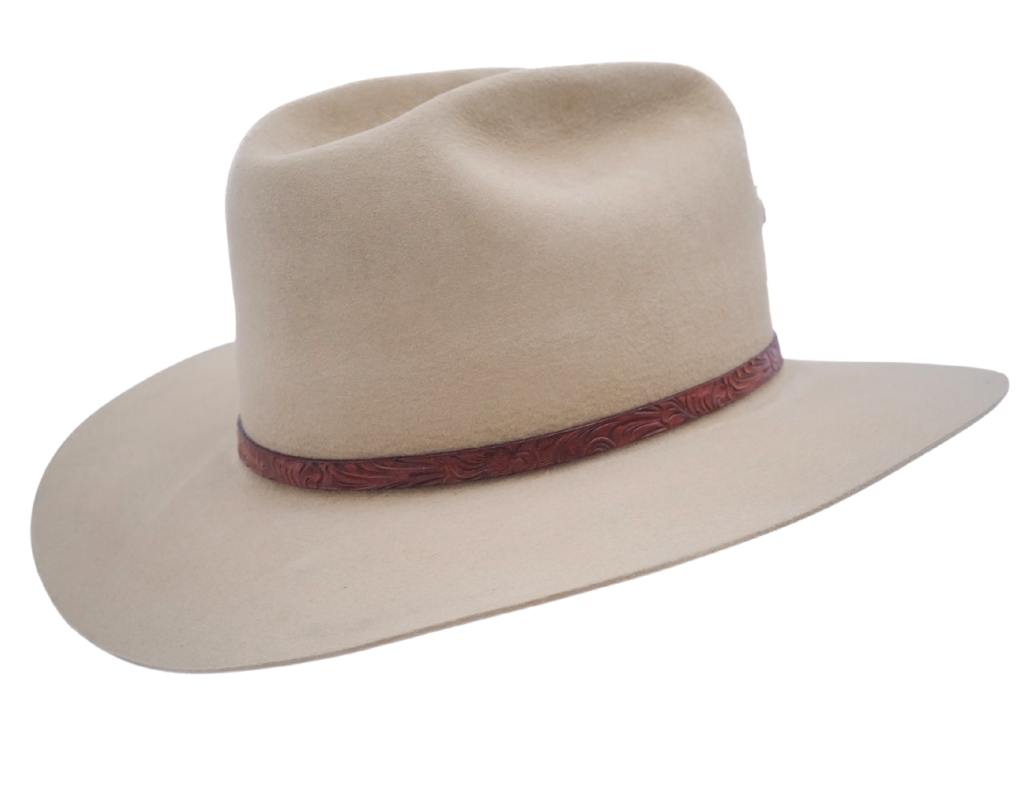 "Raylan" - Wild Hats