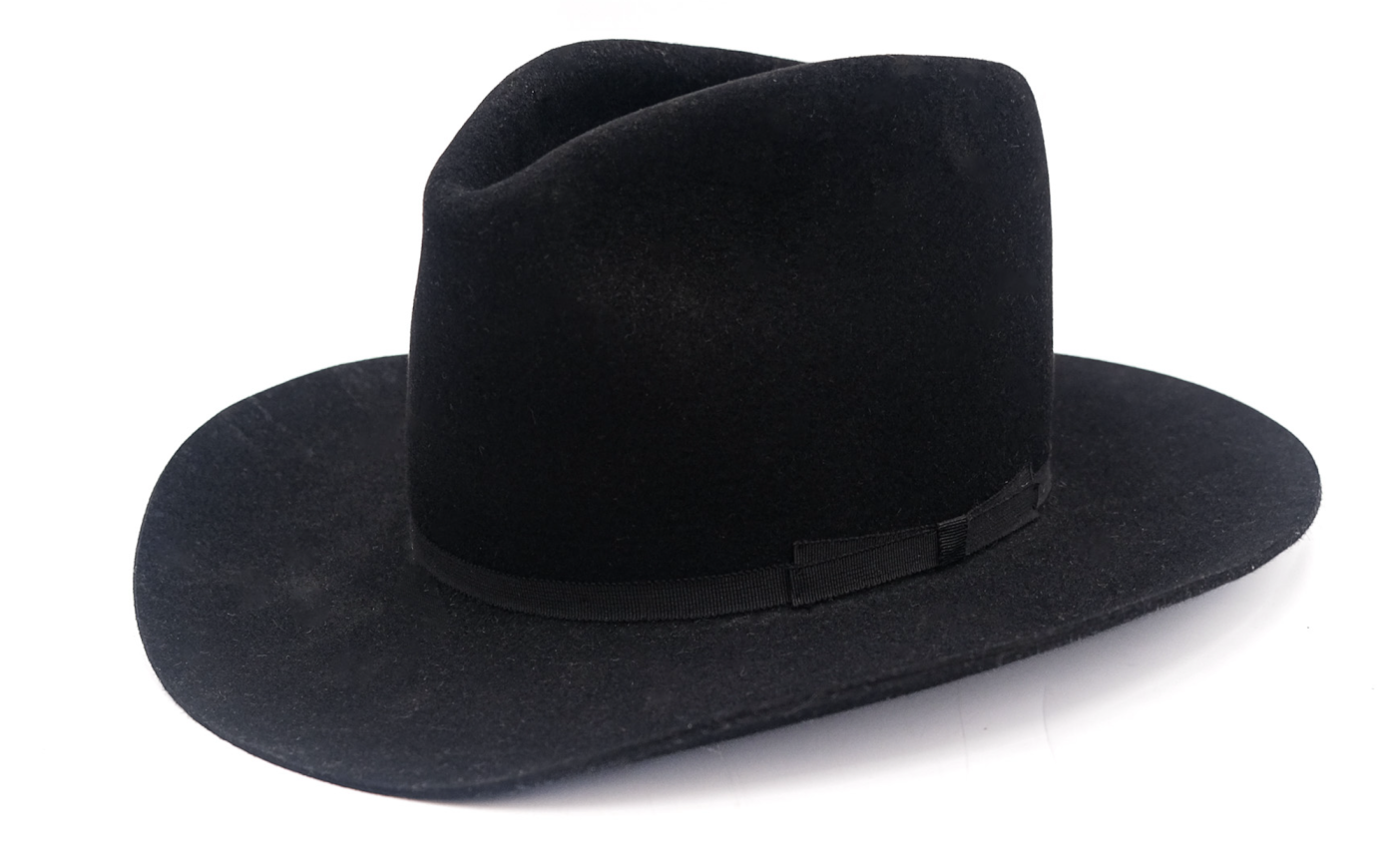 The Roosevelt - Wild Hats