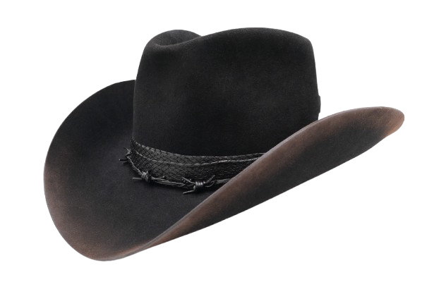 Ghost Rider - Wild Hats