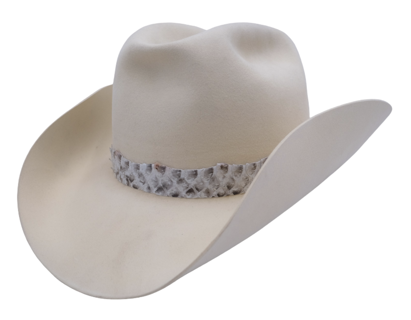 Ivory Outlaw - Wild Hats